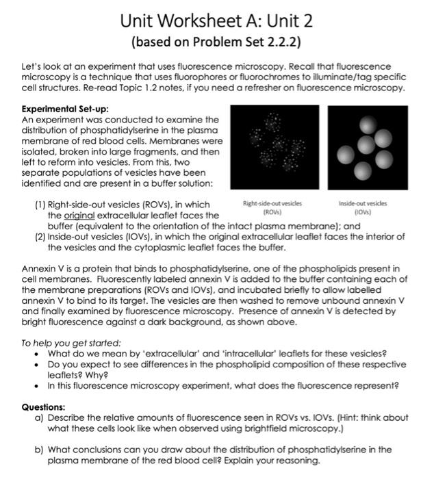 Solved Unit Worksheet A: Unit 2 (based on Problem Set 2.2.2) | Chegg.com