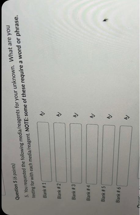 Question 5 (6 points) 5. You requested the following | Chegg.com