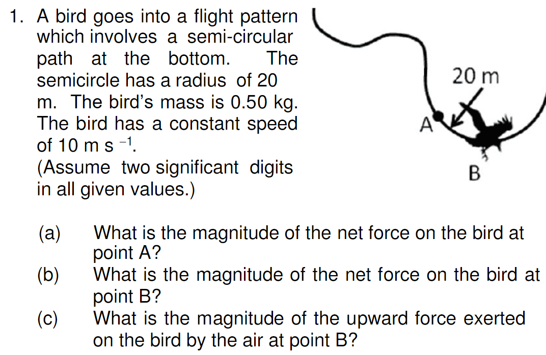 Solved A bird goes into a flight patternwhich involves a | Chegg.com