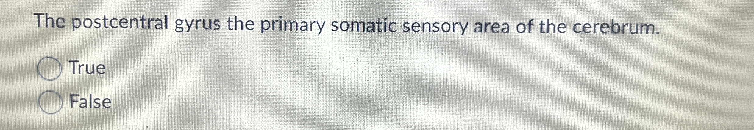Solved The postcentral gyrus the primary somatic sensory | Chegg.com