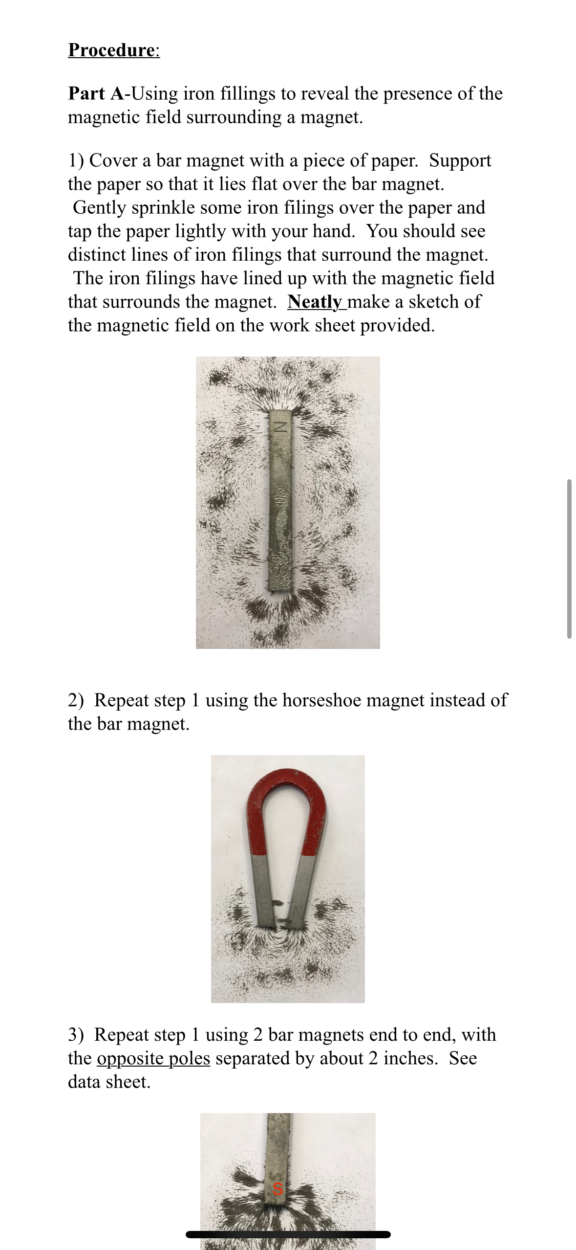 Solved Procedure:Part A-Using iron fillings to reveal the | Chegg.com