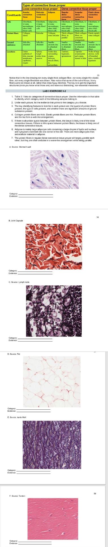 Solved Identify and list which category each sample belongs | Chegg.com
