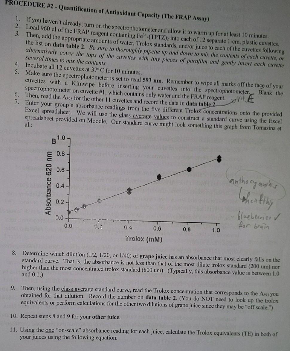 Solved PROCEDURE #2 - Quantification of Antioxidant Capacity | Chegg.com