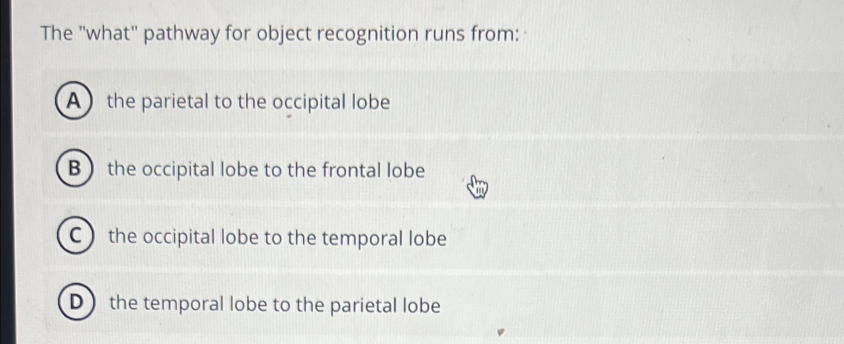 Solved The "what" pathway for object recognition runs | Chegg.com