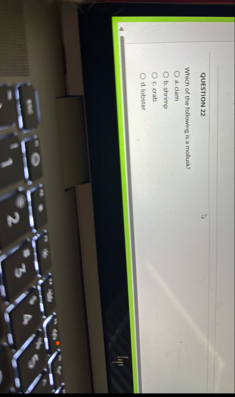 Solved QUESTION 22Which of the following is a mollusk?a. | Chegg.com