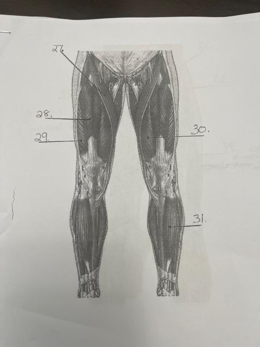 Solved label | Chegg.com