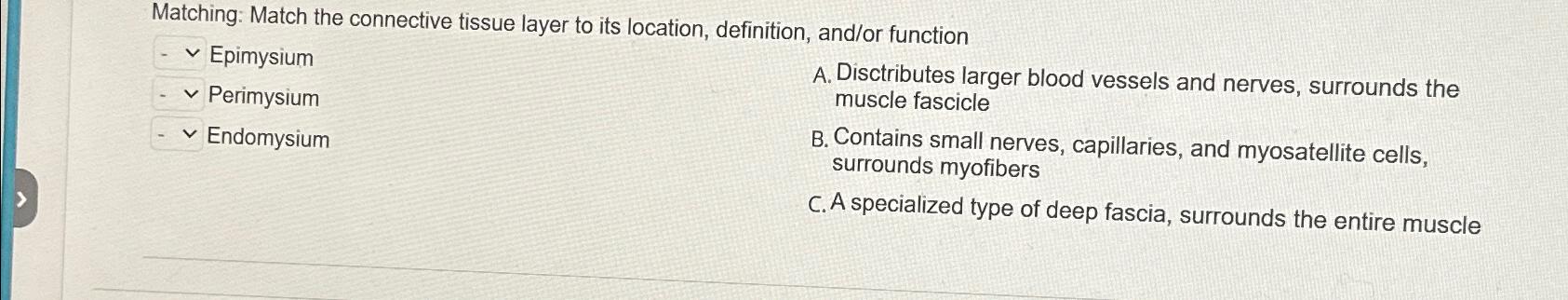 Solved Matching: Match the connective tissue layer to its | Chegg.com