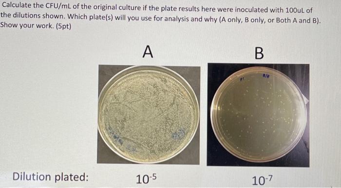 Solved Calculate the CFU/mL of the original culture if the | Chegg.com