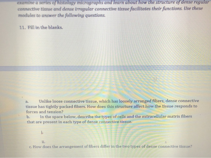 Solved Explore the 3D anatomical view in Module 4.9 | Chegg.com