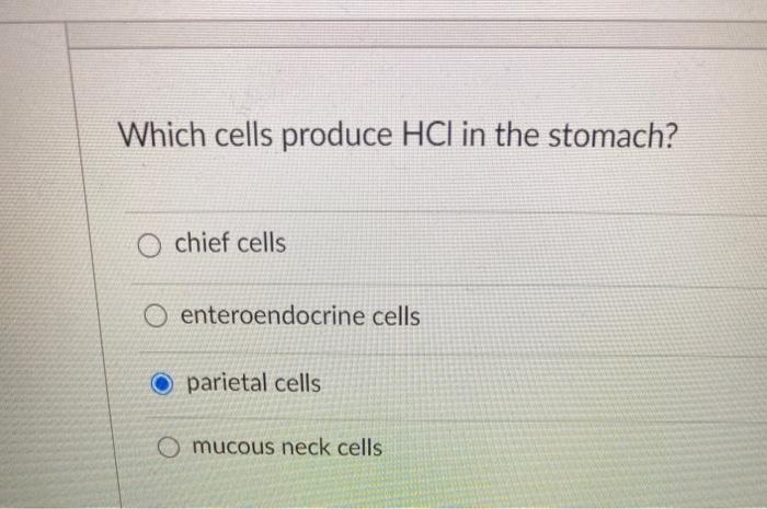 Solved Which cells produce HCl in the stomach? chief cells O | Chegg.com