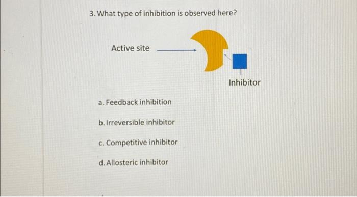 Solved 3. What type of inhibition is observed here? Active | Chegg.com