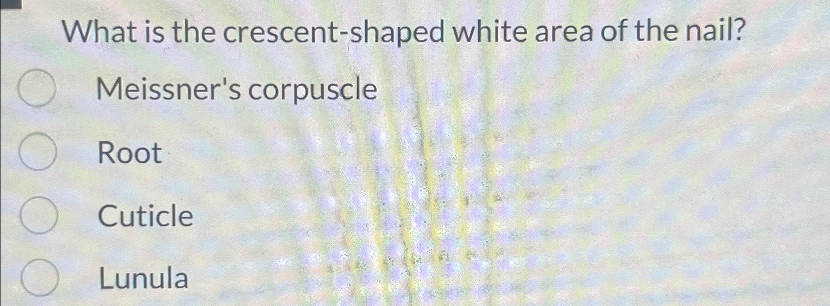 Solved What is the crescent-shaped white area of the | Chegg.com