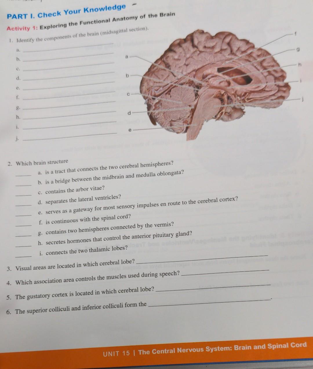 Solved PART I. Check Your Knowledge Activity 1: Exploring | Chegg.com