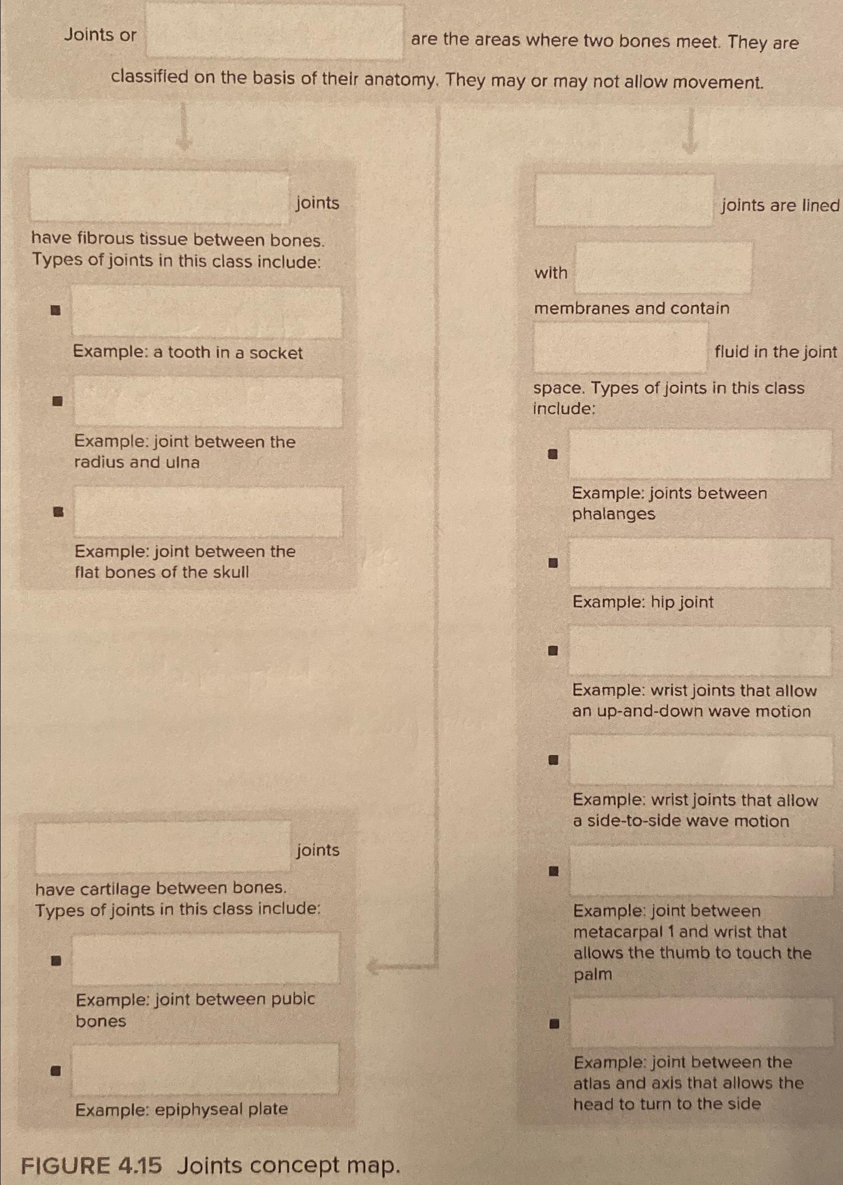 Solved Joints or are the areas where two bones meet. They | Chegg.com