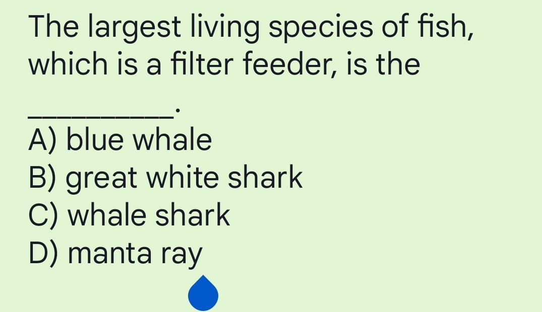 Solved The largest living species of fish, which is a filter | Chegg.com