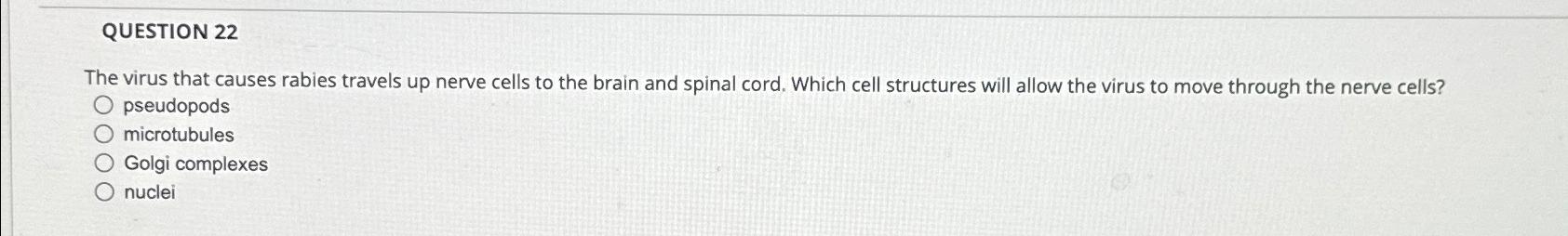 Solved QUESTION 22The virus that causes rabies travels up | Chegg.com