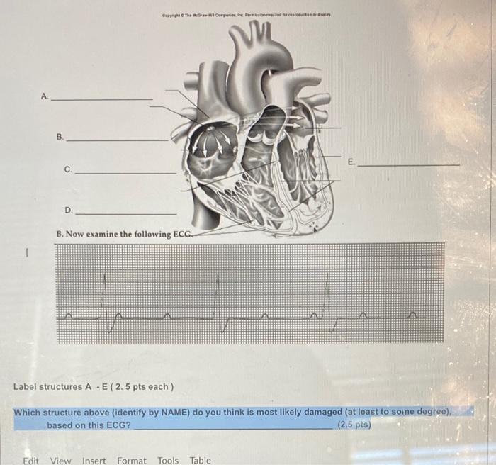 Solved Which structure above (identify by NAME) do you think | Chegg.com