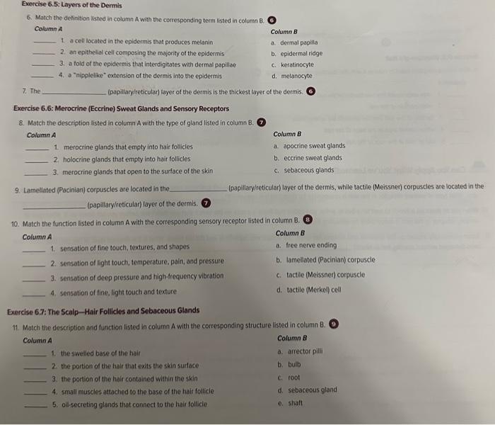 Solved 6. Match the definition listed in column A with the | Chegg.com
