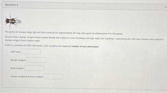 Solved Question 3 The genes for dumpy wings (dp) and black | Chegg.com