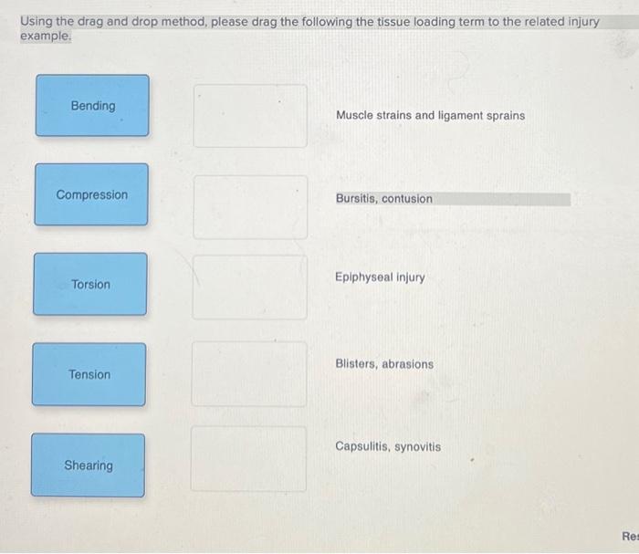 Solved Using the drag and drop method, please drag the | Chegg.com