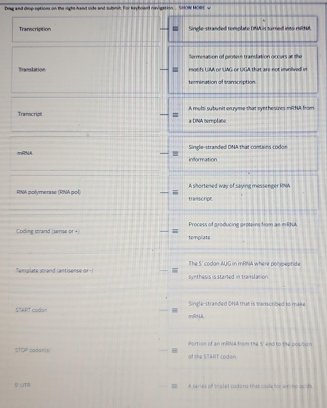 Solved Drag and drop options on the right-hand side and | Chegg.com