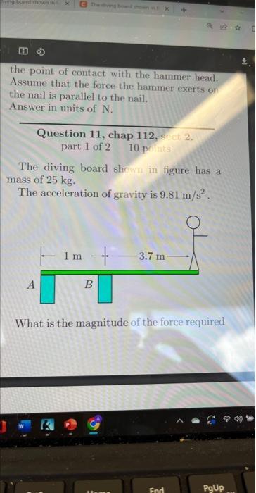 Solved the point of contact with the hammer head. Assume | Chegg.com
