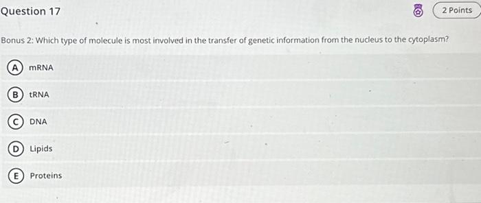 Solved Which of the following is an example of an epigenetic | Chegg.com