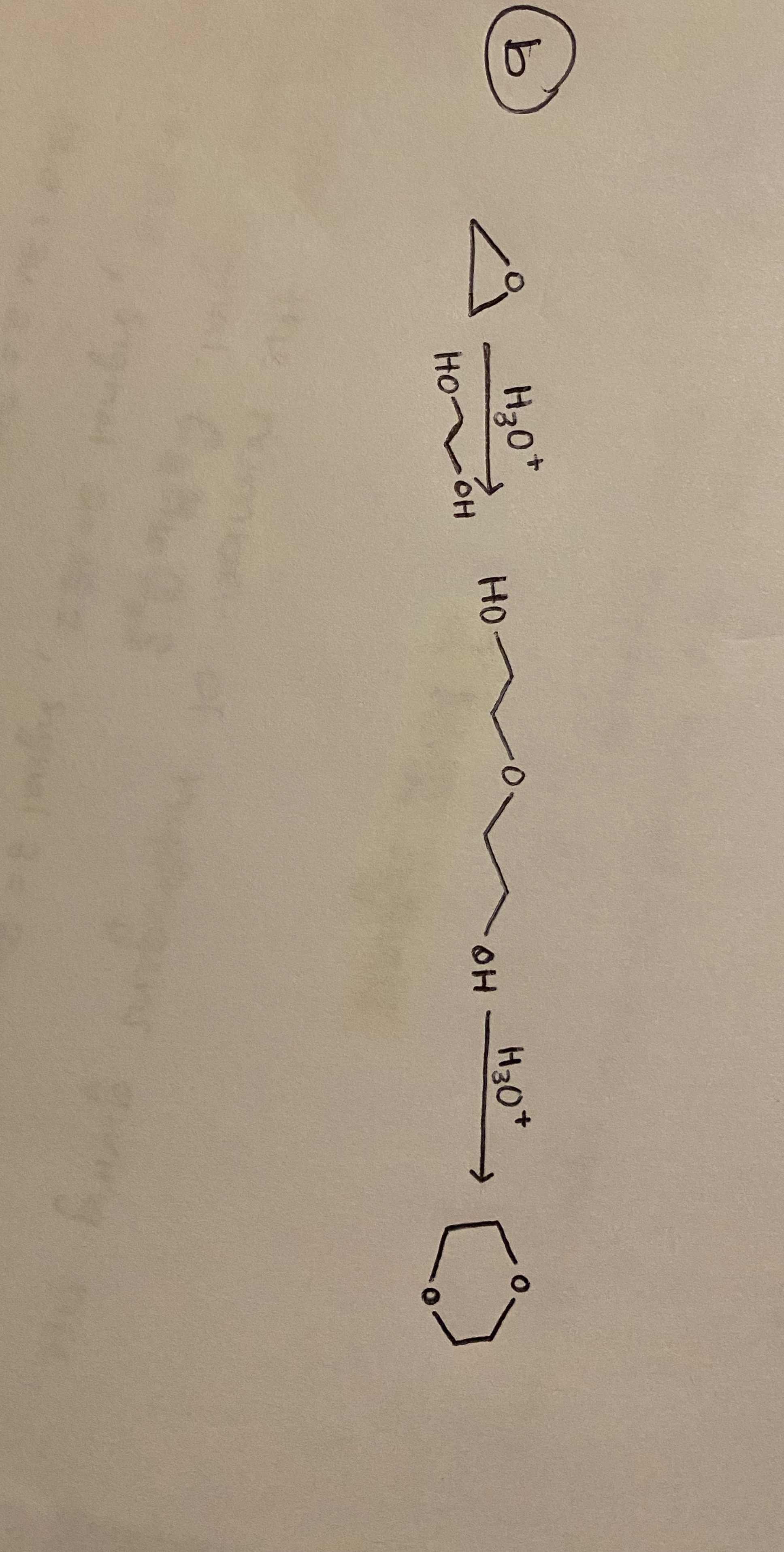 Solved Propose a mechanism for each step in the synthesis. | Chegg.com