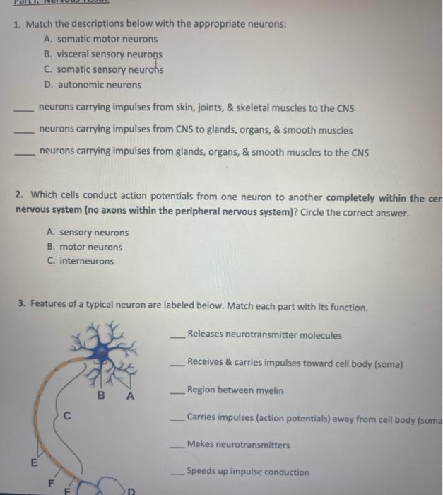 Solved 1. Match the descriptions below with the appropriate | Chegg.com
