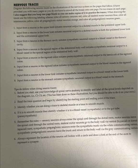 Diagram the following neuron traces on the | Chegg.com