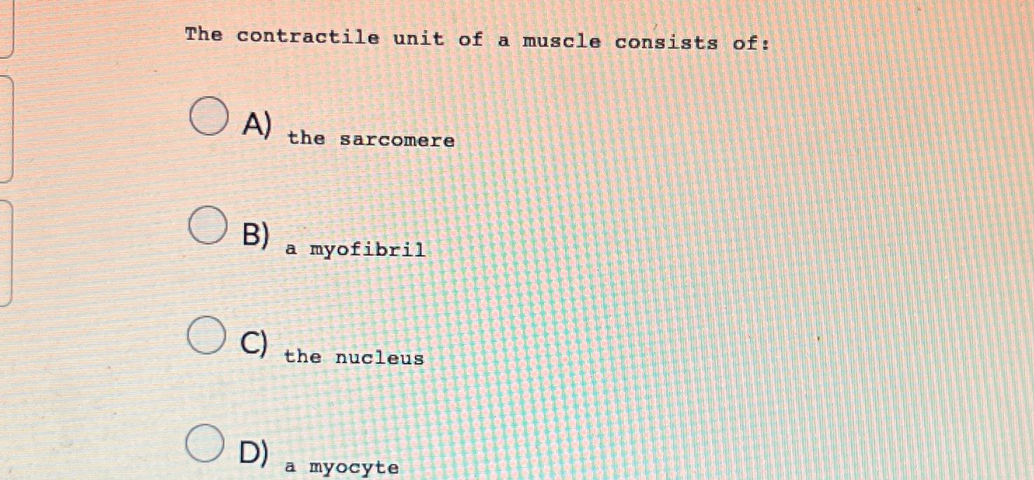 Solved The contractile unit of a muscle consists of:A) ﻿the | Chegg.com