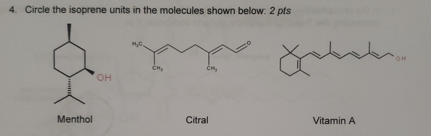Solved Circle the isoprene units in the molecules shown | Chegg.com
