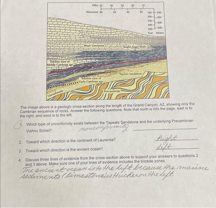 Solved The image above is a geologic cross-section along the | Chegg.com
