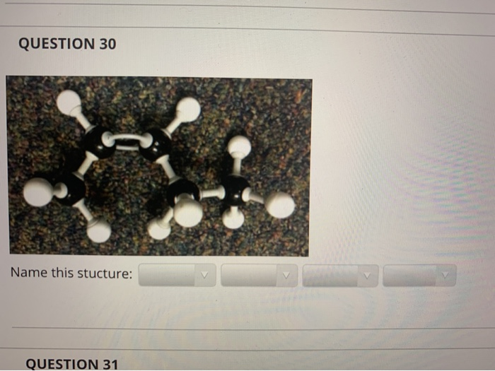 Solved QUESTION 30 Name this stucture: QUESTION 31 | Chegg.com