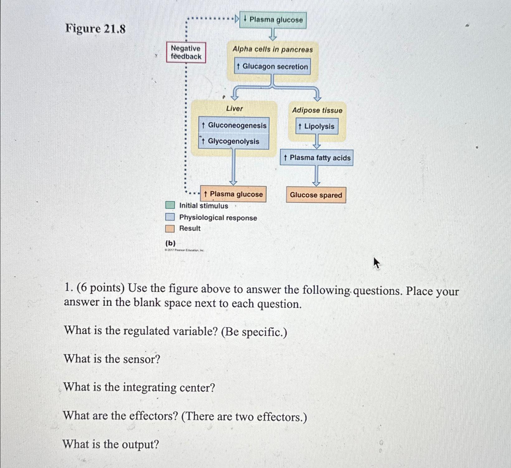 Solved Figure 21.8(6 ﻿points) ﻿Use the figure above to | Chegg.com