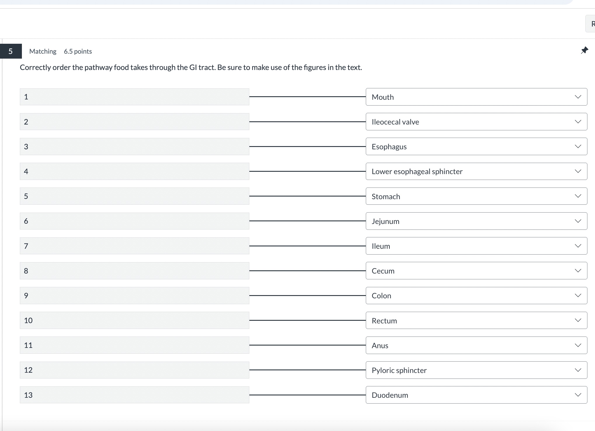 Solved Correctly order the pathway food takes through the GI | Chegg.com