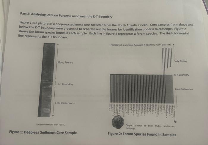 Solved Part 2: Analyzing Data on Forams Found near the K-T | Chegg.com