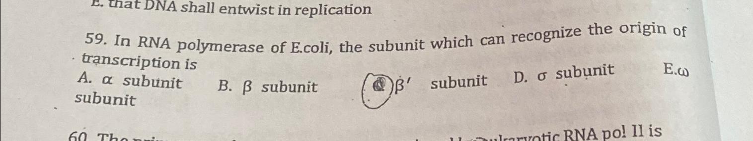 Solved In RNA polymerase of E.coli, the subunit which can | Chegg.com