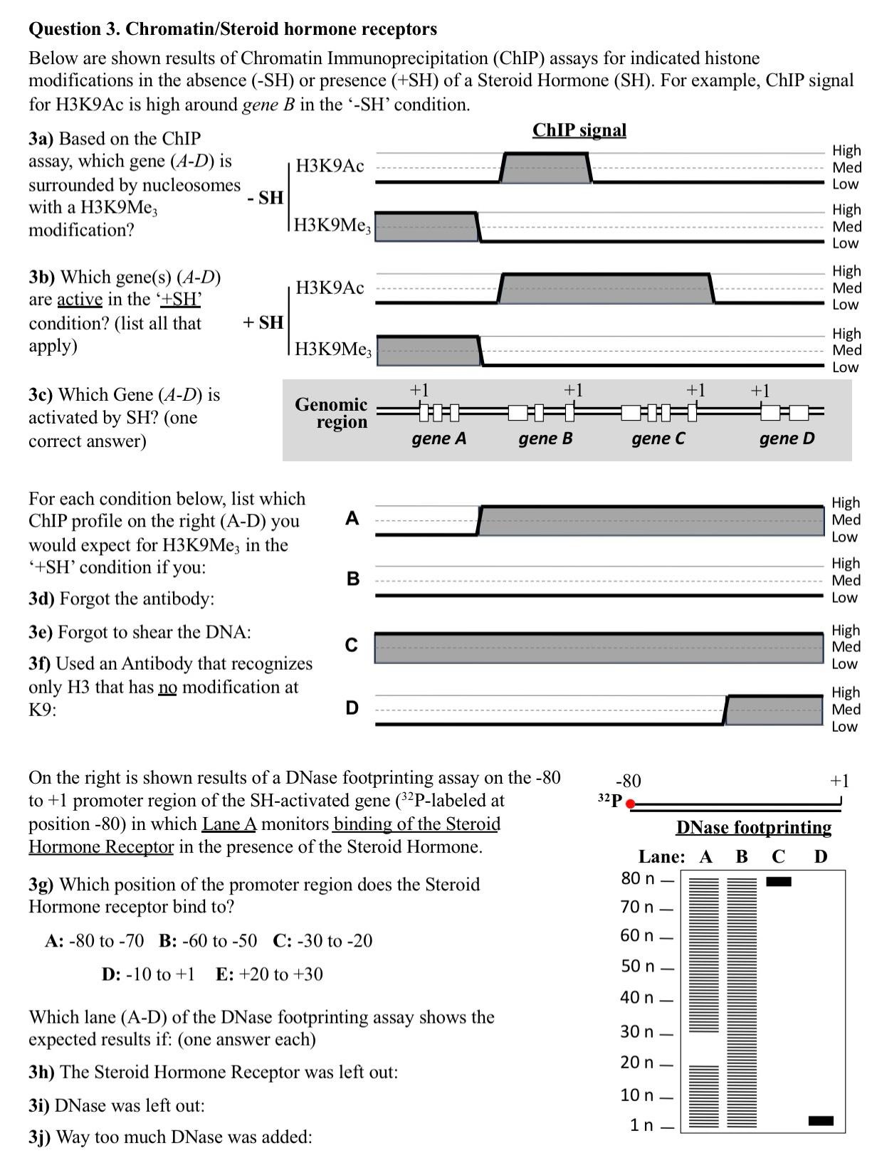 Solved Question 3. ﻿Chromatin/Steroid hormone receptorsBelow | Chegg.com