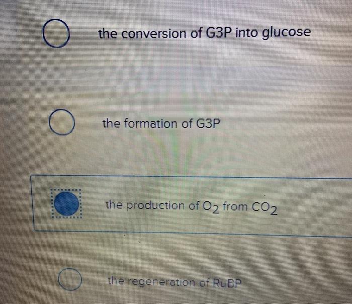 Solved What is the role of rubisco in the Calvin cycle? | Chegg.com