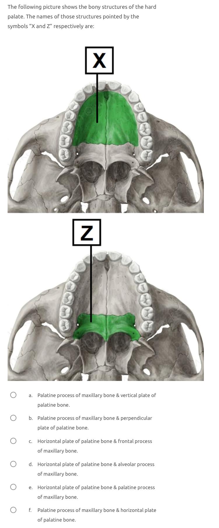 Solved The following picture shows the bony structures of | Chegg.com