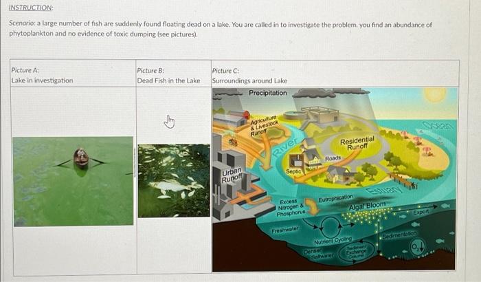 Solved INSTRUCTION Scenario: a large number of fish are | Chegg.com