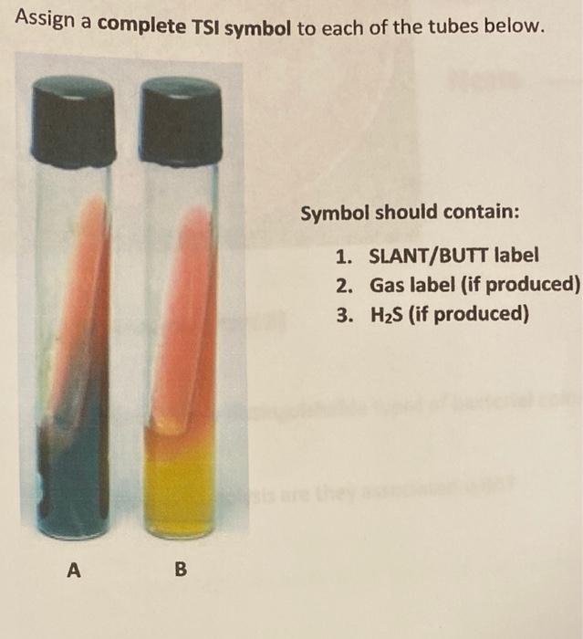 Solved Assign a complete TSI symbol to each of the tubes | Chegg.com