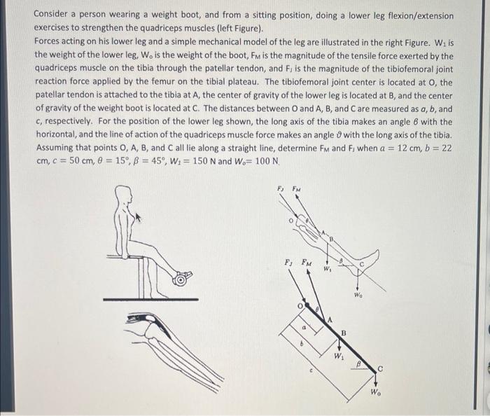 Solved Consider a person wearing a weight boot, and from a | Chegg.com