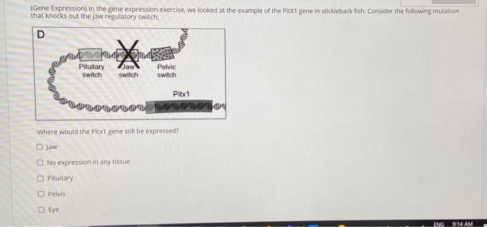Solved (Gene Expression) in the gene expression exercise, we | Chegg.com