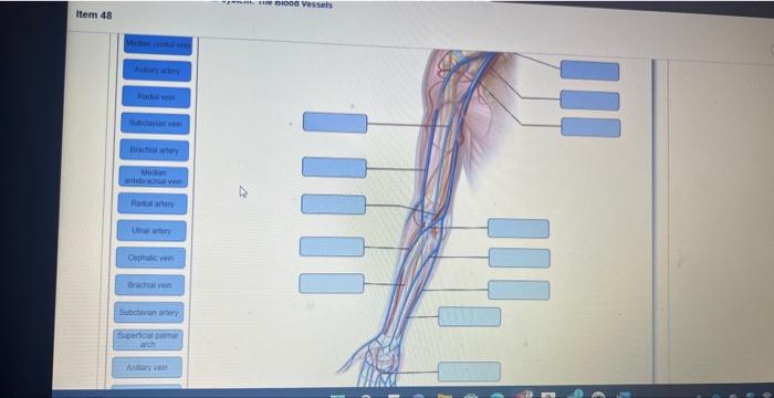 Solved V3 | Chegg.com