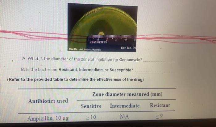 Solved 11 21 CENTIMETERS al 41 ASM MicrobeLibrary Mudricki | Chegg.com