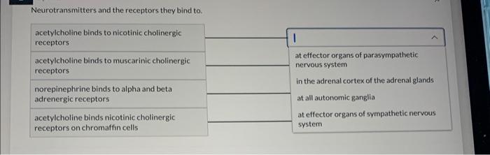 Solved Neurotransmitters and the receptors they bind | Chegg.com