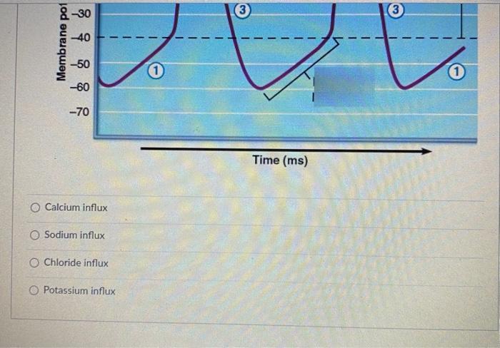 Solved In the graph of pacemaker cell action potential | Chegg.com