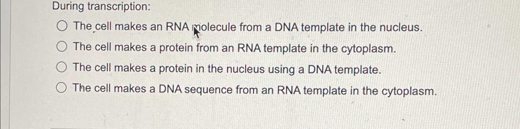 Solved During transcription:The cell makes an RNA polecule | Chegg.com